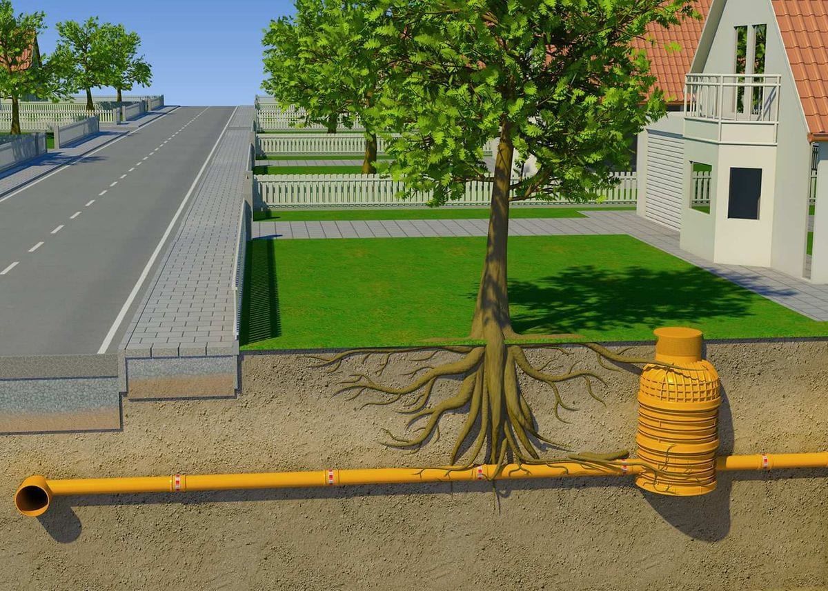 Wurzelschutz für Rohrsysteme | REHAU Blog