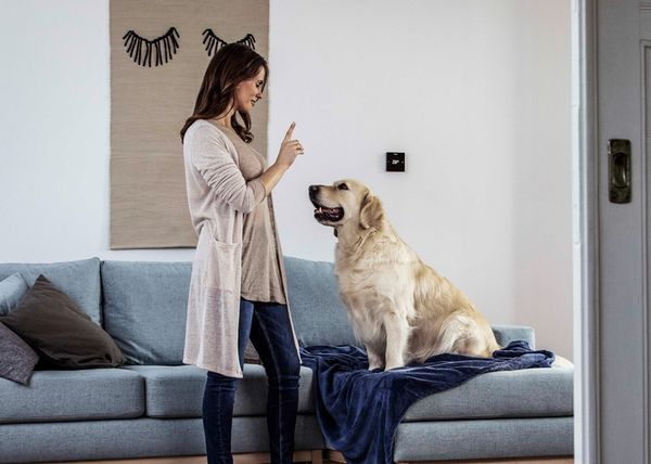 NEA SMART 2.0: FAQ | REHAU